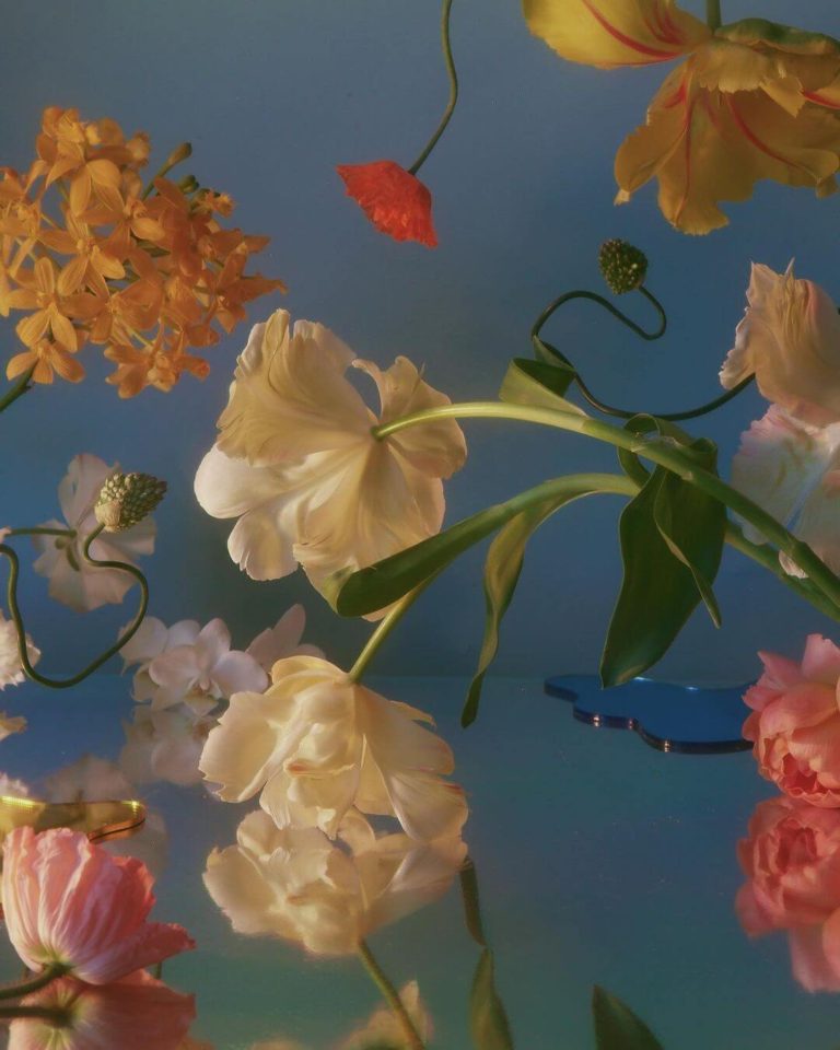 Instagram Flower Accounts | Instagram Accounts for Flower Lovers