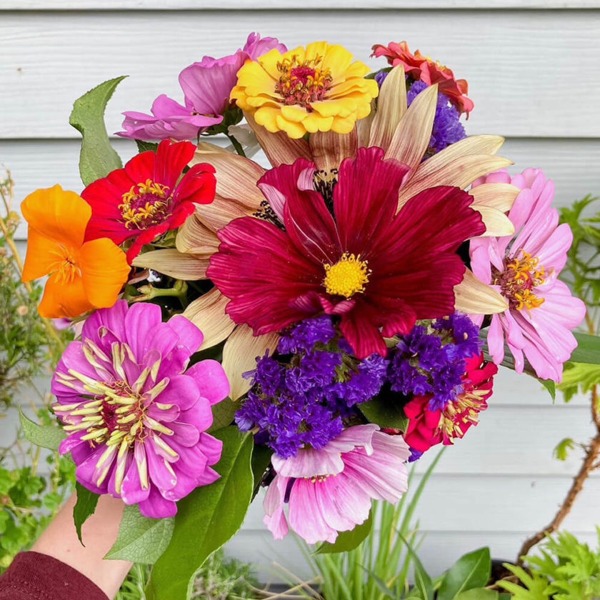 Instagram Flower Accounts | Instagram Accounts for Flower Lovers