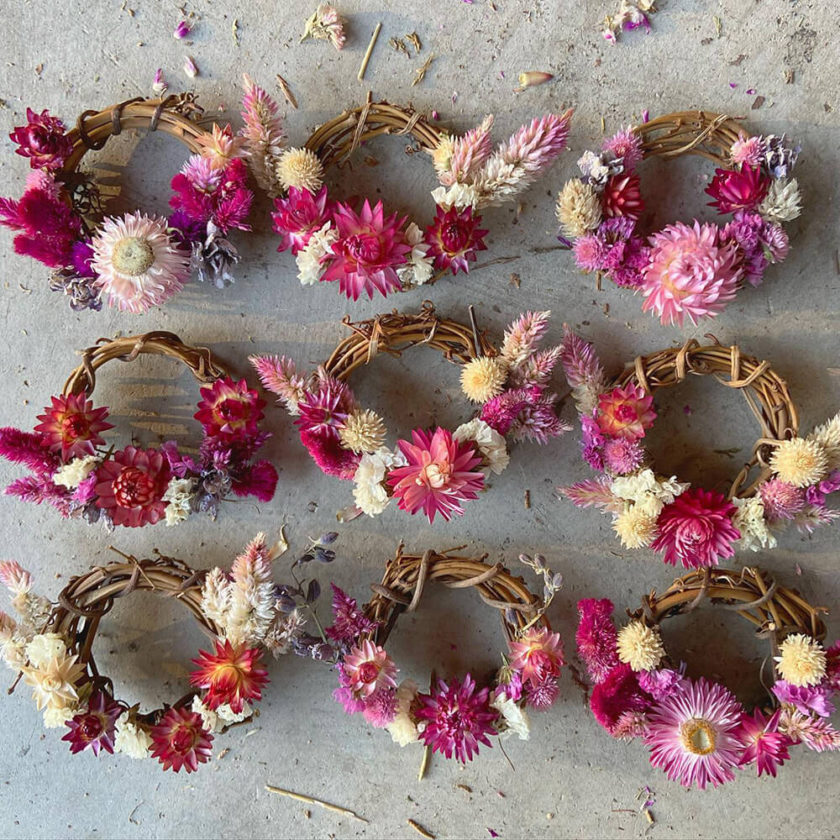 Instagram Flower Accounts | Instagram Accounts for Flower Lovers