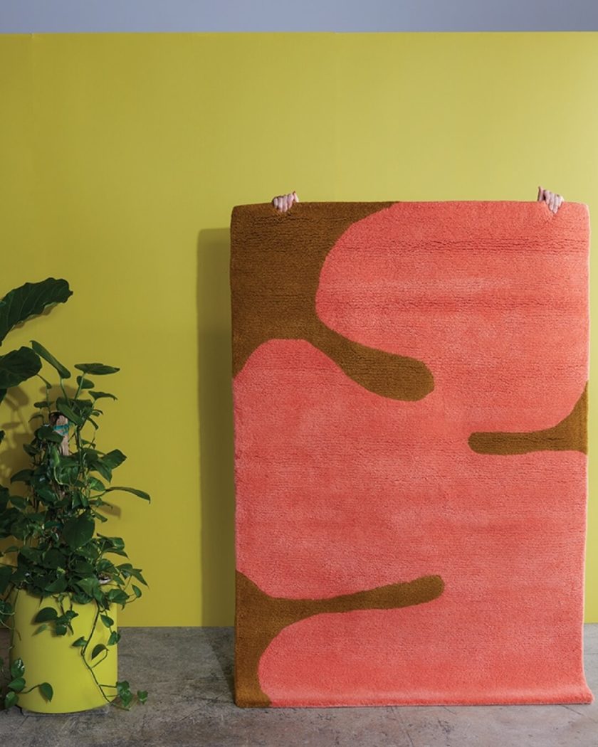 Angela Adams Shine | Angela Adams Rugs | Colorful, Unique Rugs