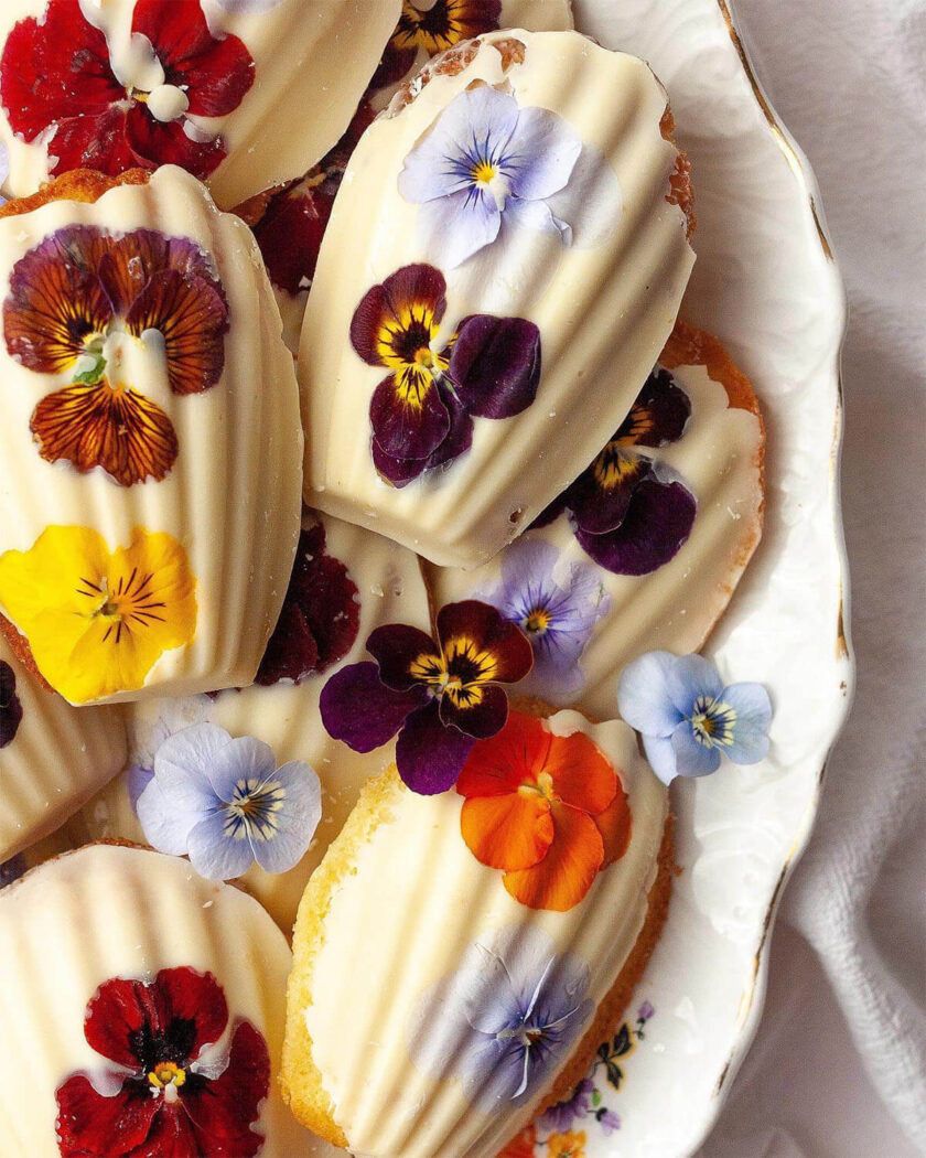 It's Pansy Season - Pansy Art & Decor Trend via wallflower